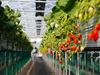 News - AgriSound