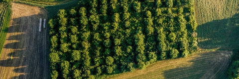 About Us - AgriSound