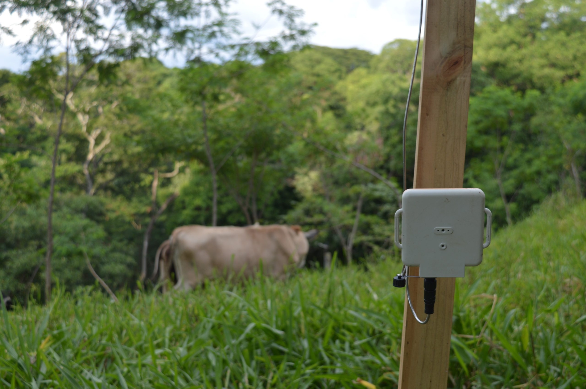 Biodiversity Monitoring - AgriSound