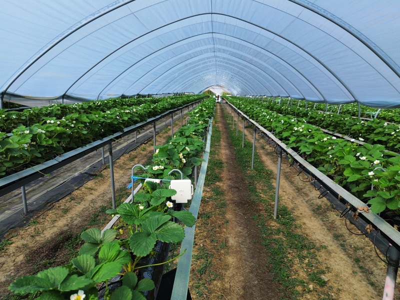 News - AgriSound